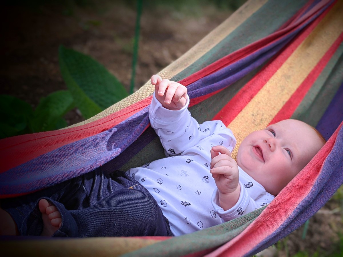 Average Joe Schmoe – Going On 40