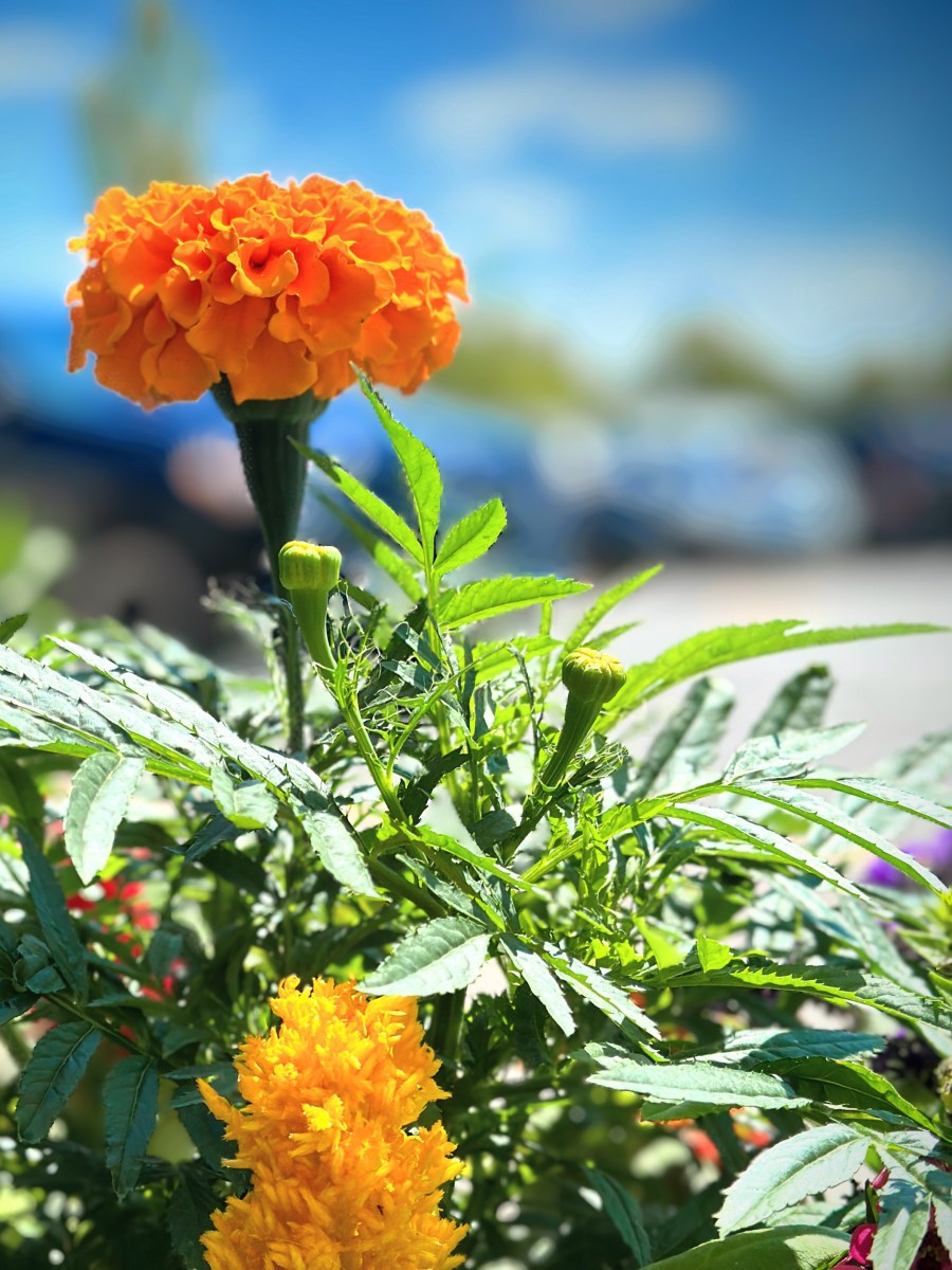 Recalculating Route – Going On 40