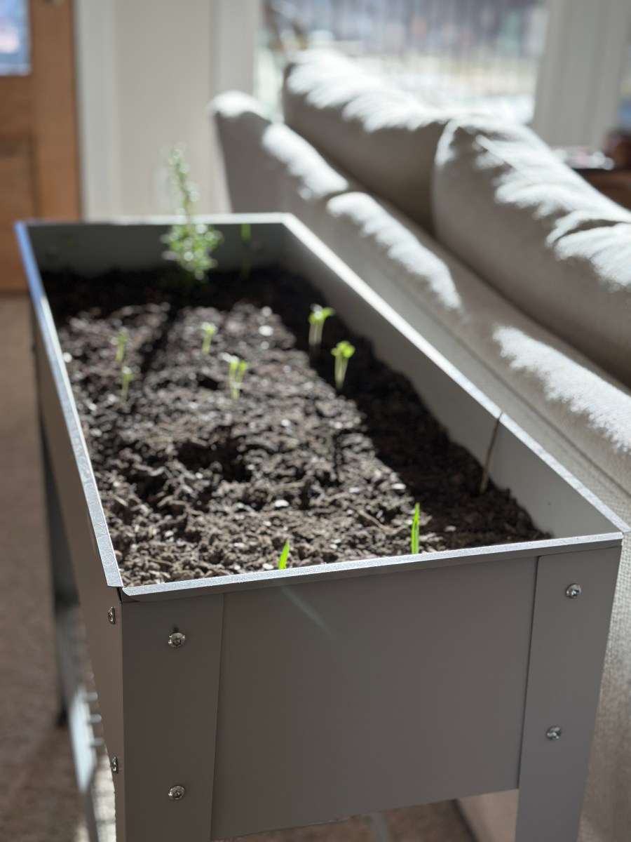 Wicked Cold Weather – Going On 40